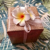 Tita Bun, Pua, & IMUA T-Shirt, Wahine Grafik T-Shirt, Hawaii Local ...