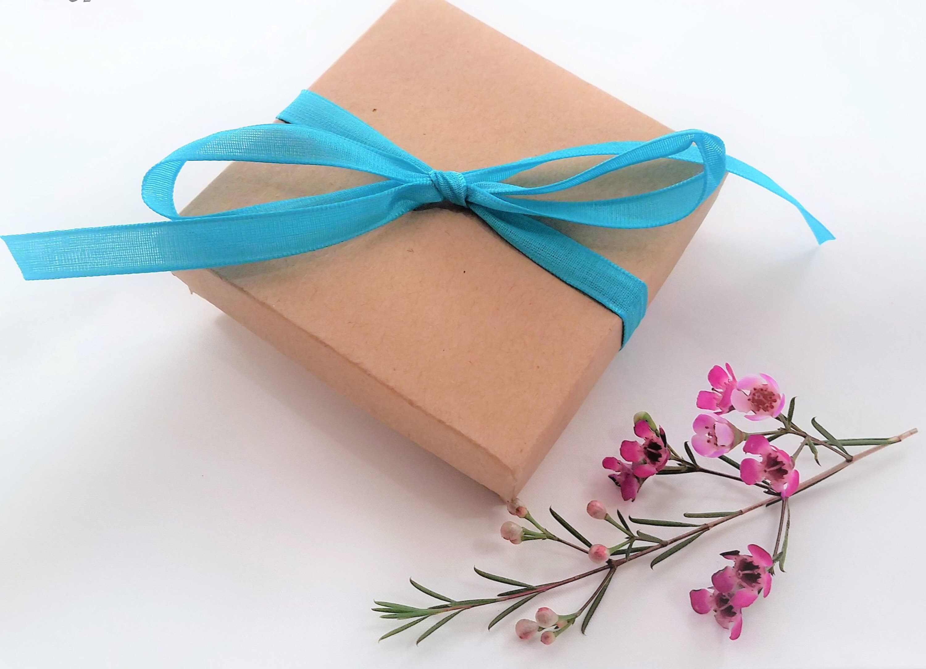 Bye Bye Bugs Essential Oil Spray - Etsy