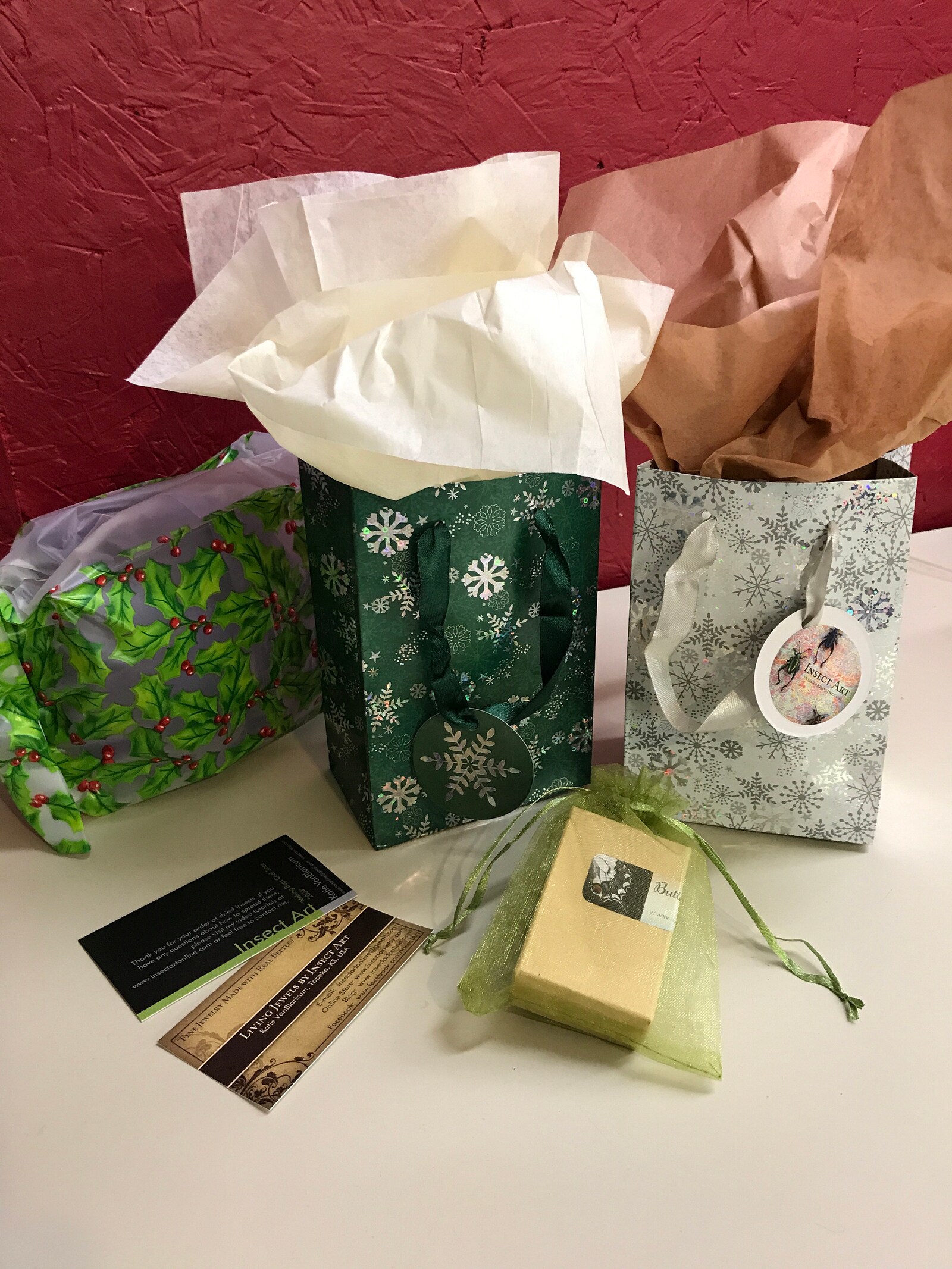 Butterfly Mounting Kit for Beginners, With Real Butterflies and Tools ...