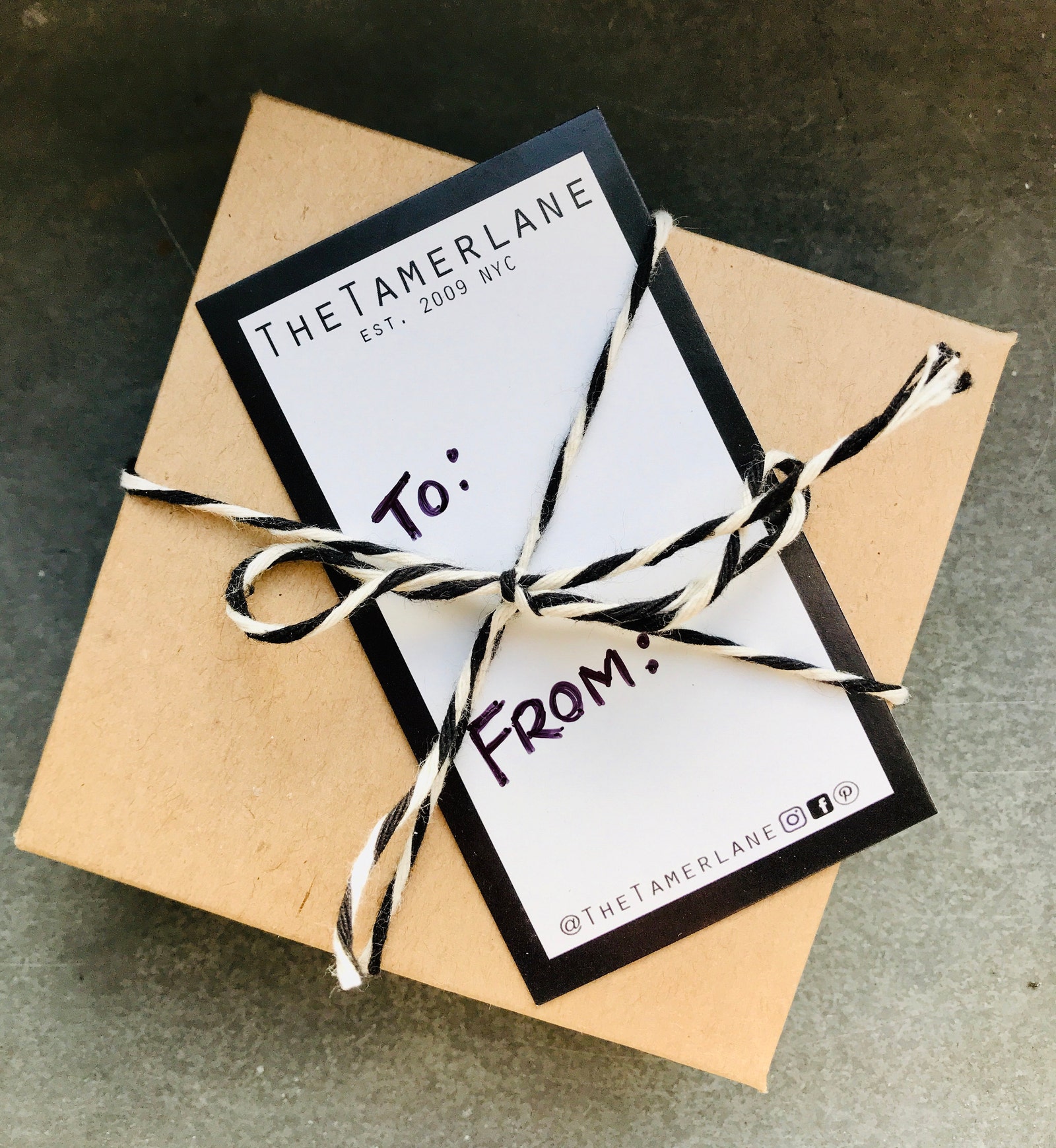 Anchovy and Oysters Earrings Summer Fun Food Sardines Anchovies Novelty ...