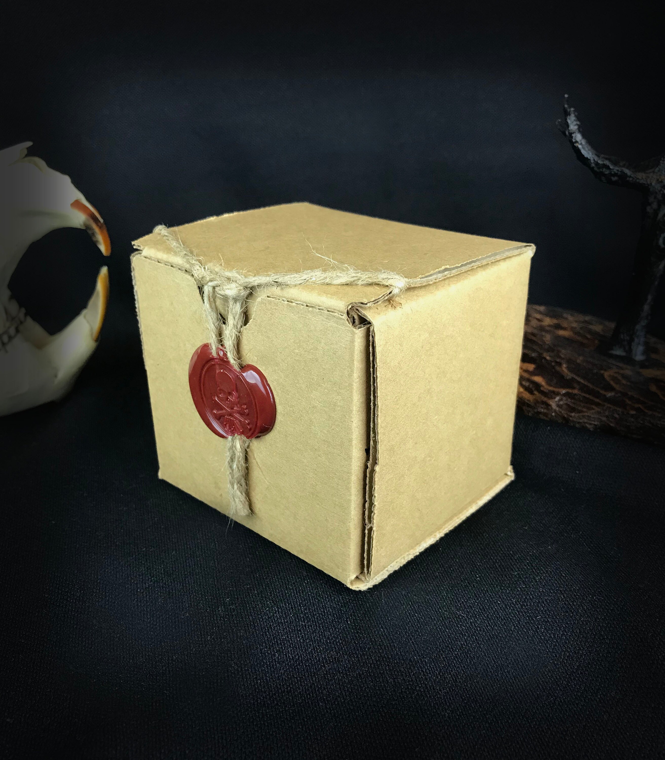 Cute Red Baby Octopus in a Jar Wet Specimen Ethically - Etsy