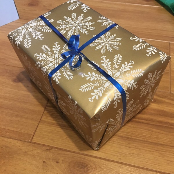 Raccoon Rib Bones, Wall Art, Witchy Gifts for Women, Vulture Culture ...