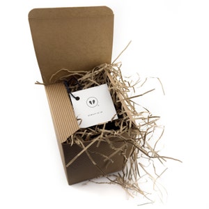 Betta Fish Cave Lounge Hammock, Aquarium Decor to Swim-through, Hide ...