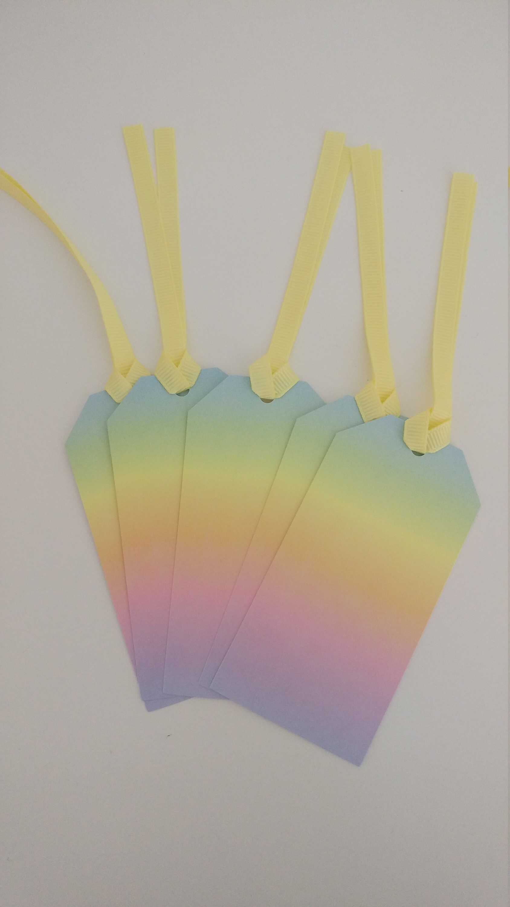 Axolotl Minecraft Inspired Kawaii Plushie Stuffie Keyring - Etsy