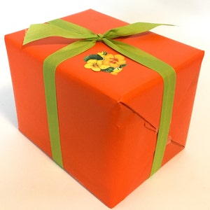 Men's Renaissance Fair Costume Pattern Simplicity 9633 Complete/cut ...