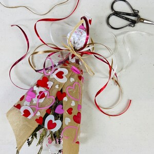 Kombucha Tea Scoby*mother*with Starter Tea-quart or Gallon - Etsy