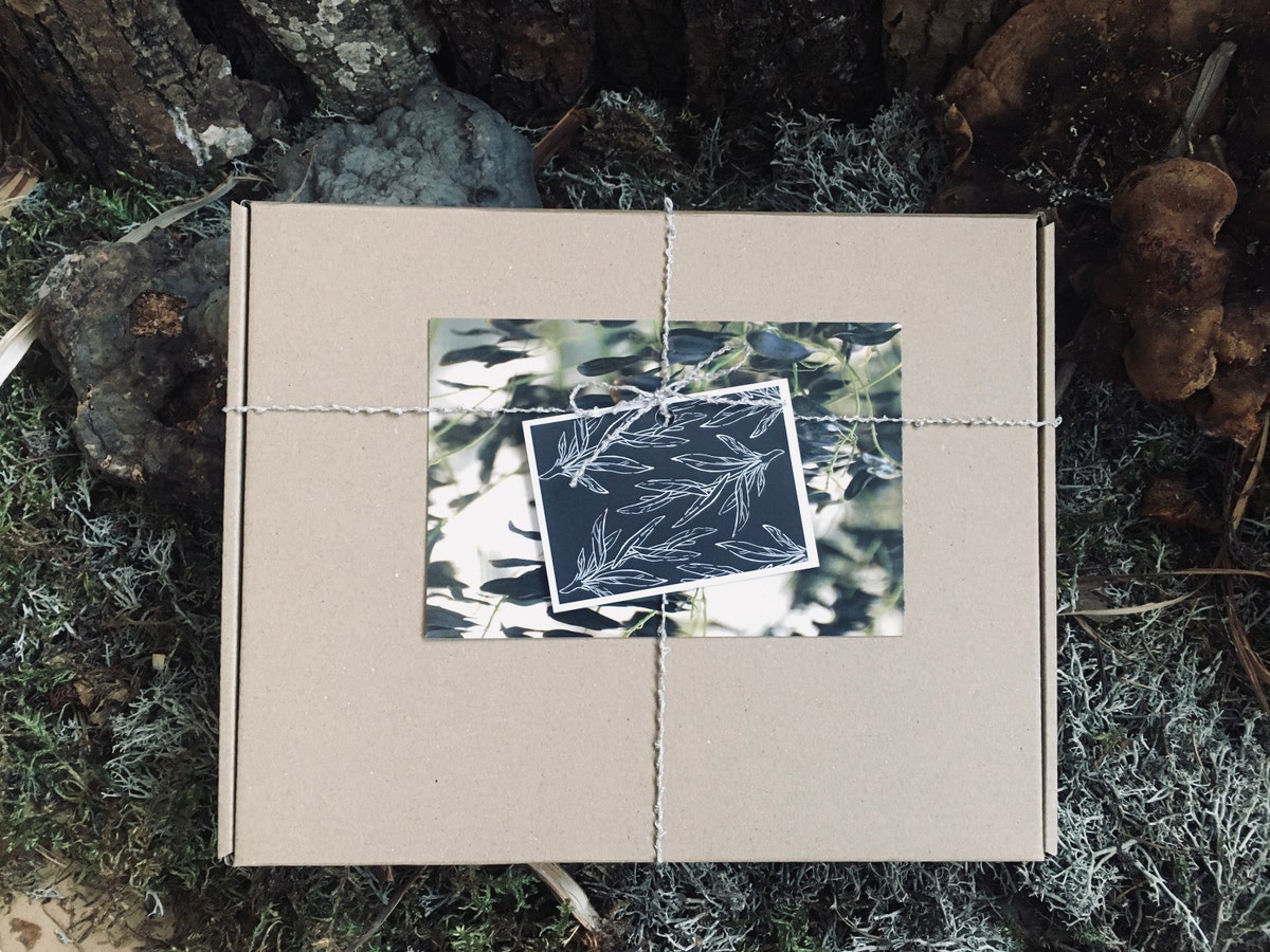 Sappanwood Extract for Bright Red, Crimson, Burgundy and Purple Colors ...