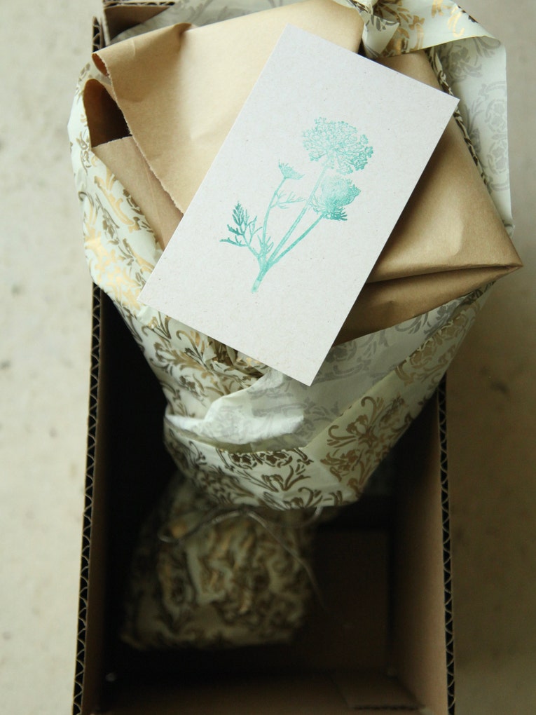 Mini Herbarium Specimen Jars, Set of 3 Apothecary Vials, Wildflower ...