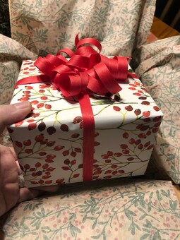 Ladybug in the Garden Oval Shaped Ceramic Buttons - Etsy