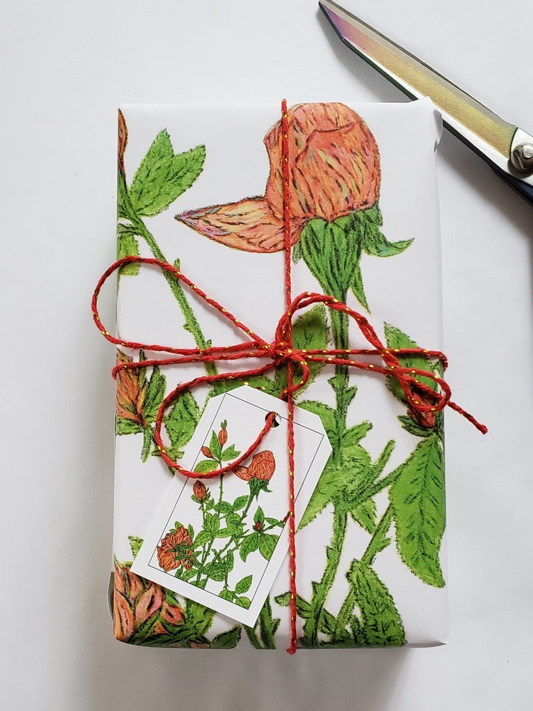 Fern Note Card Set: Blank, Woodland Wildflower Greeting Cards With a ...