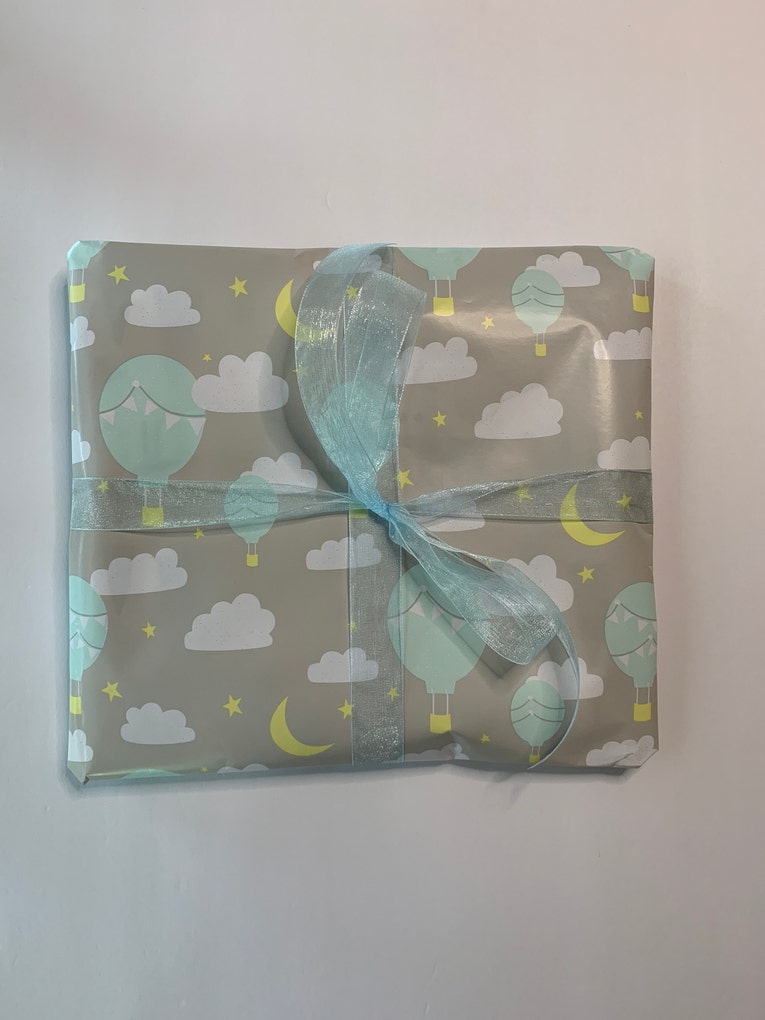 Floral New Baby Girl Minky Blanket, Baby Girl Shower Gift, Newborn Girl ...