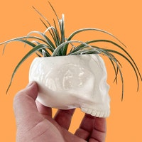 RHPS LIPS Vinyl Sticker Rocky Horror Picture Show Movie - Etsy