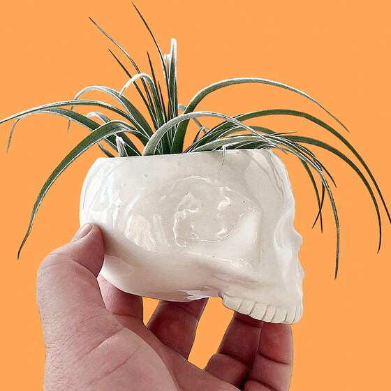 Label the Heart Poster, Human Heart Anatomy Craft, Build and Label ...