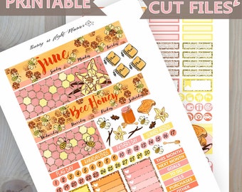 JUNE MONTHLY KIT Monthly Planner Kit Flamingo Sticker June