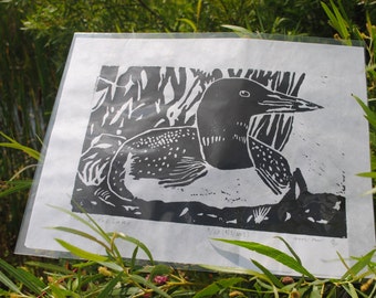 Loon prints | Etsy