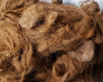 Raw Alpaca Fiber seconds or under 3 inches. 4 colors to
