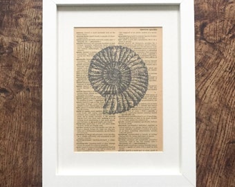 Fossils print | Etsy