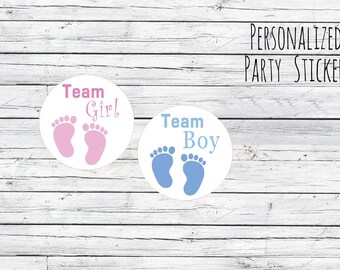 Gender Reveal Party Stickers Team Pink Team Blue Stickers