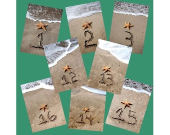 Starfish BEACH TABLE Numbers