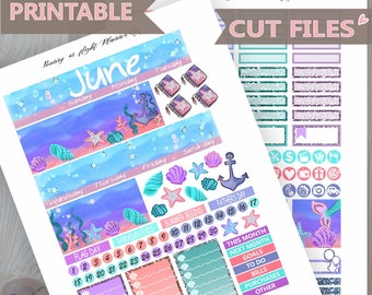 JUNE MONTHLY KIT Monthly Planner Kit Flamingo Sticker June