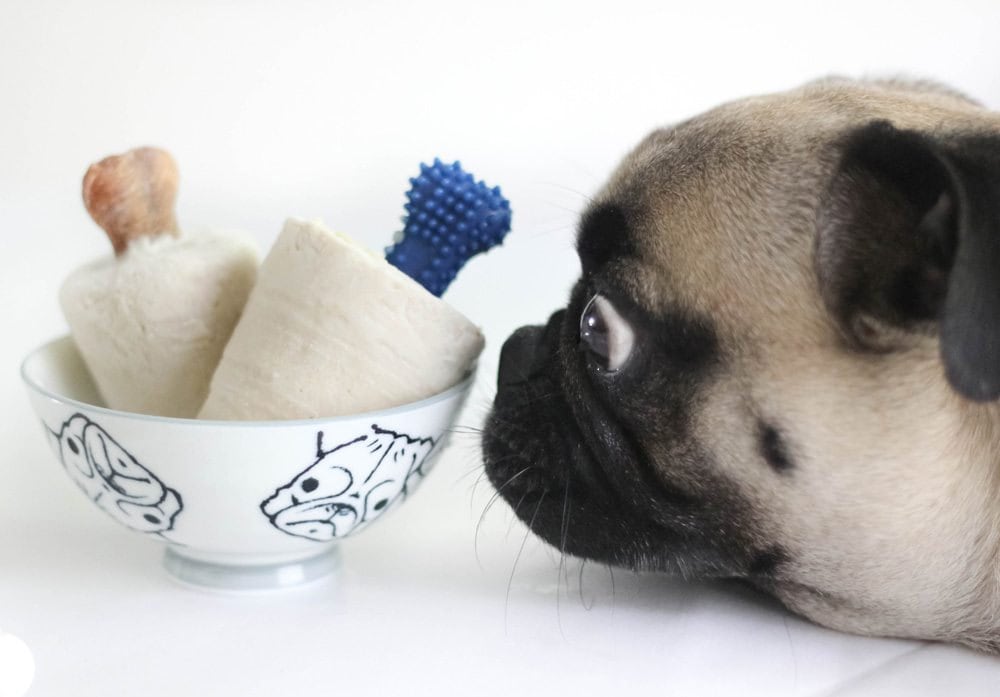 Make Ice Pops for Your Pup