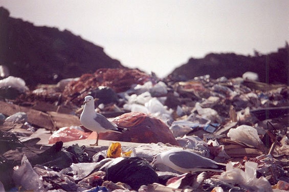 The Anthropology of Trash: An Interview With Robin Nagle | Etsy