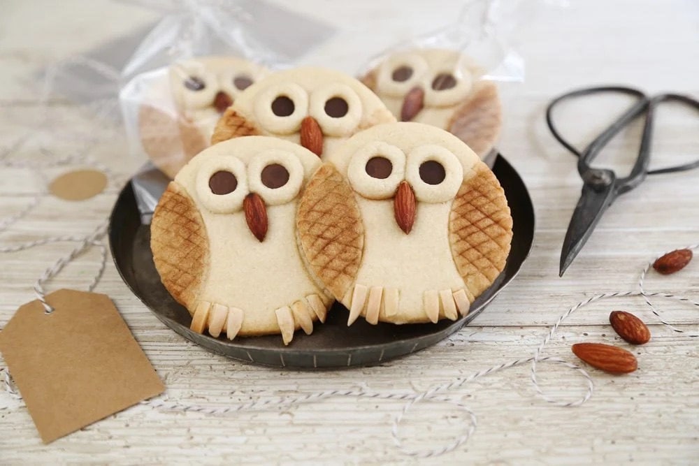 Owl Cookies Recipe: Make Butter Owl Cookies | Etsy