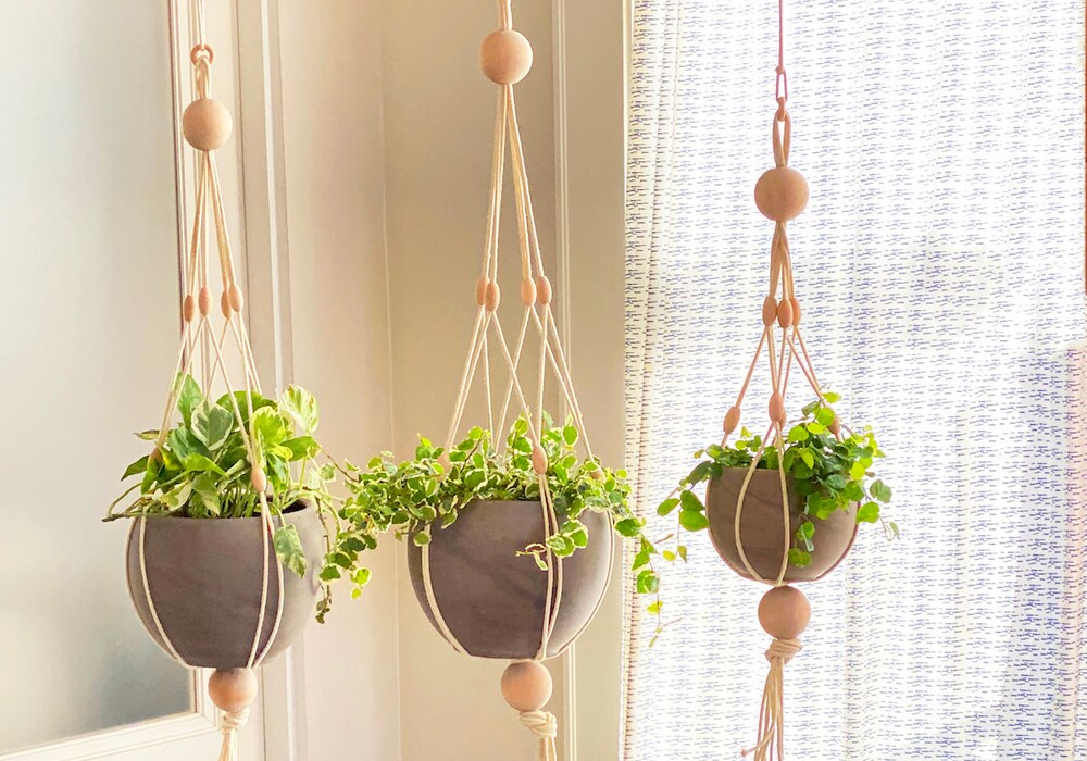Simple Rope Plant Hangers You Can Make in Minutes