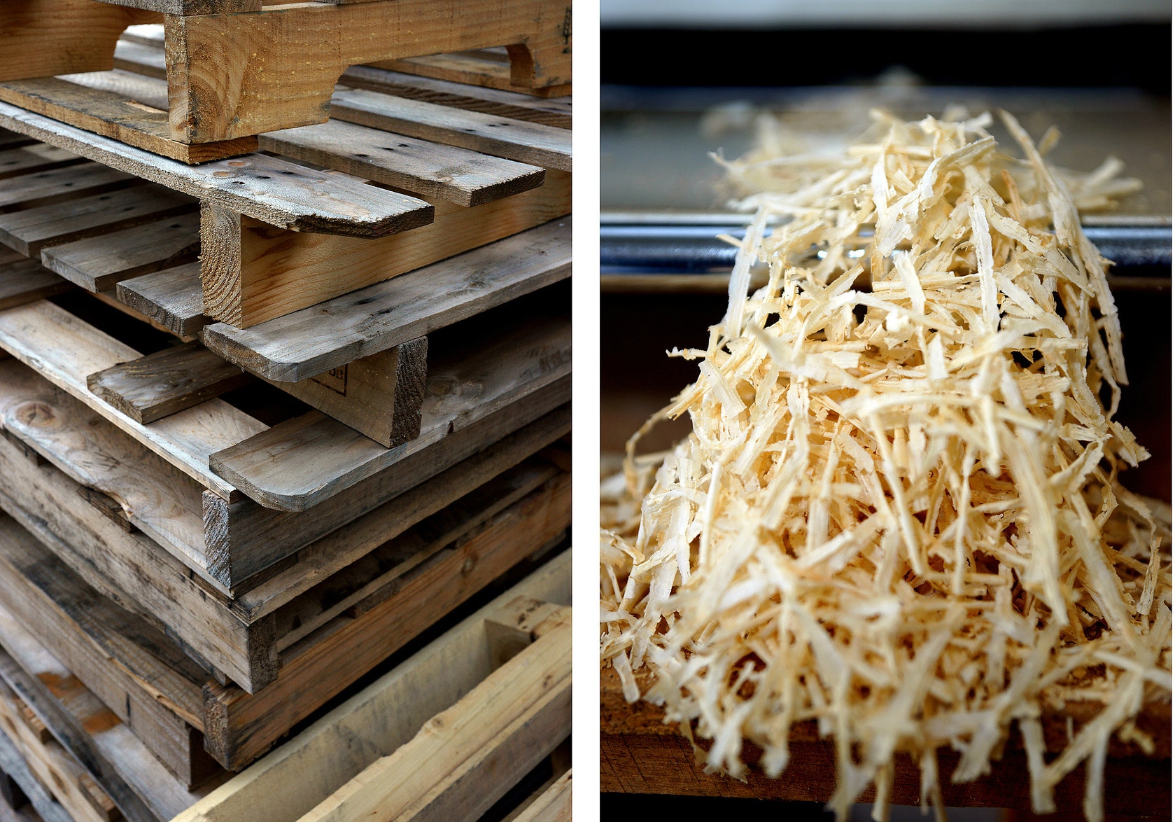 Inspiring Workspaces: Roar Timberworks