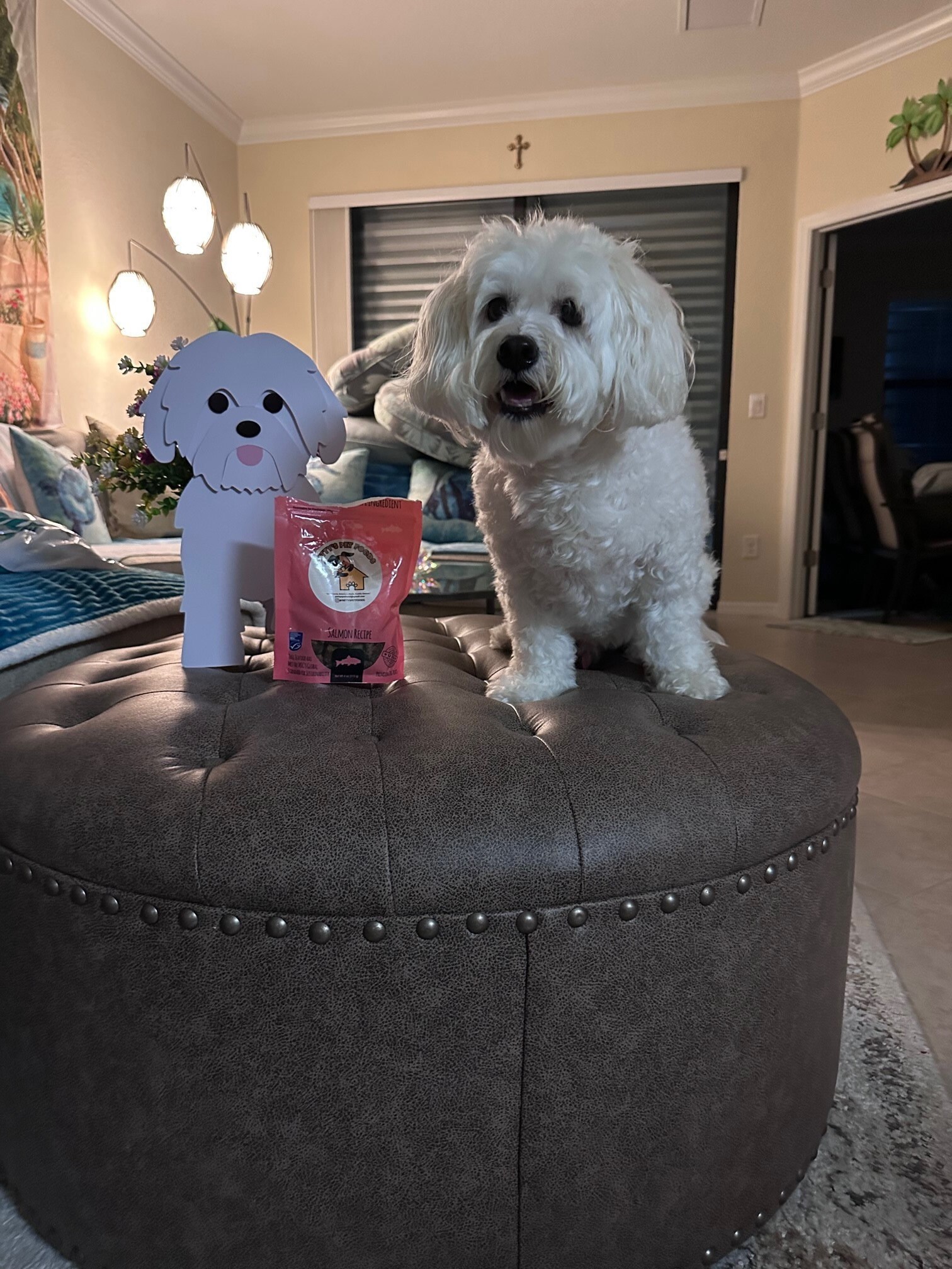 Gallery - Patty's Pet Foods