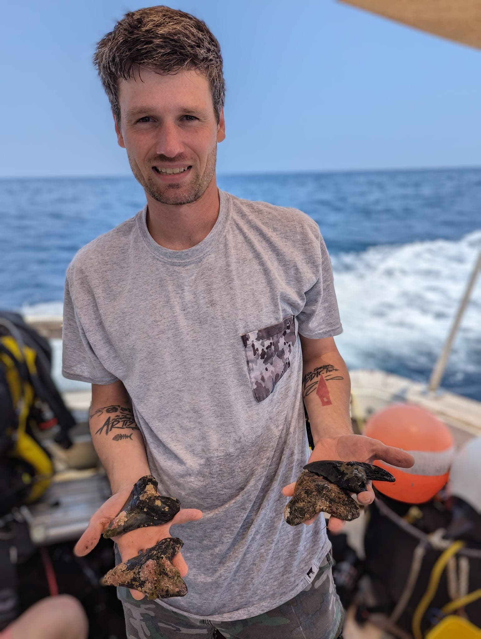 About - Carolina Megs