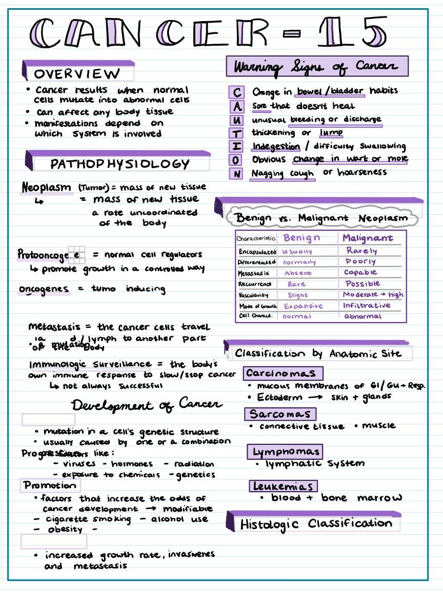 Gallery - Cece's Study Guides