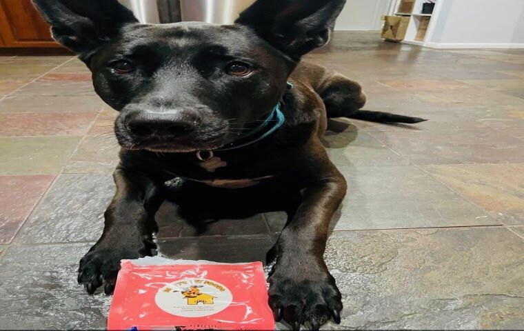 Gallery - Patty's Pet Foods