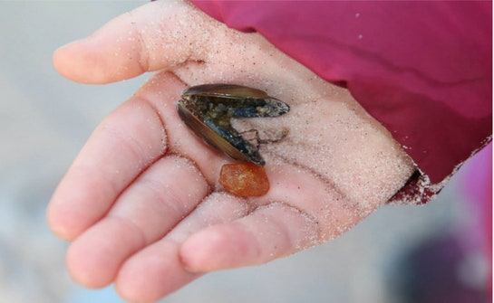 Ktiss - Etsy Australia