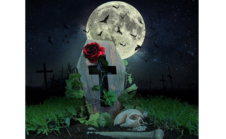 LifeAfterDeathDesign - Etsy