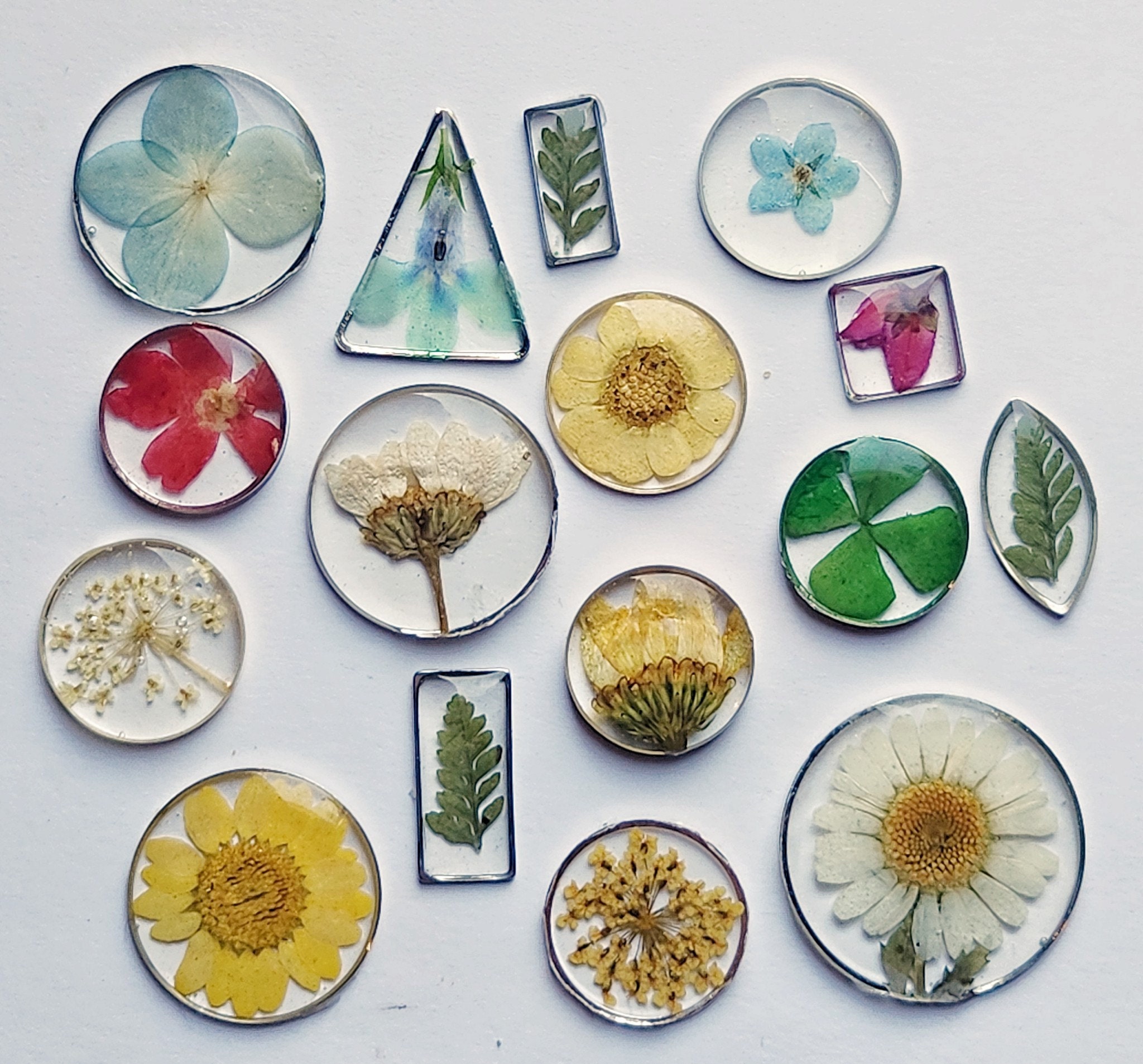 Falling Branch Studio