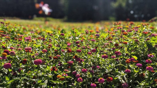 TediousLittleThings - Etsy