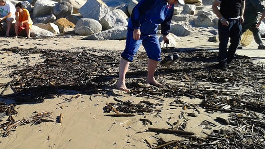 Ktiss - Etsy Australia