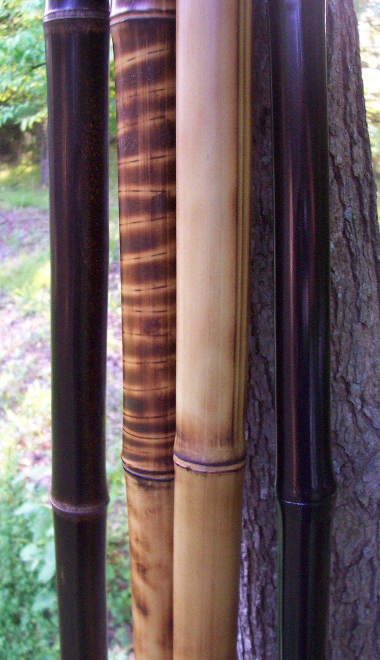BambooBoStaffs - Etsy