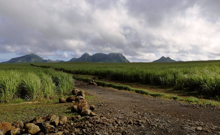 AyusDesign - Etsy UK