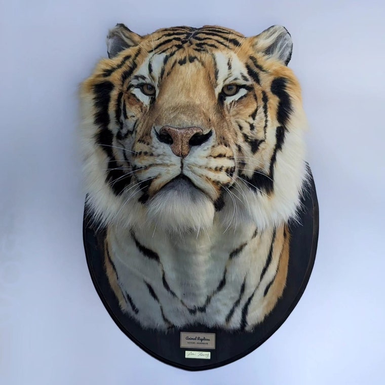 AnimalReplicas - Etsy