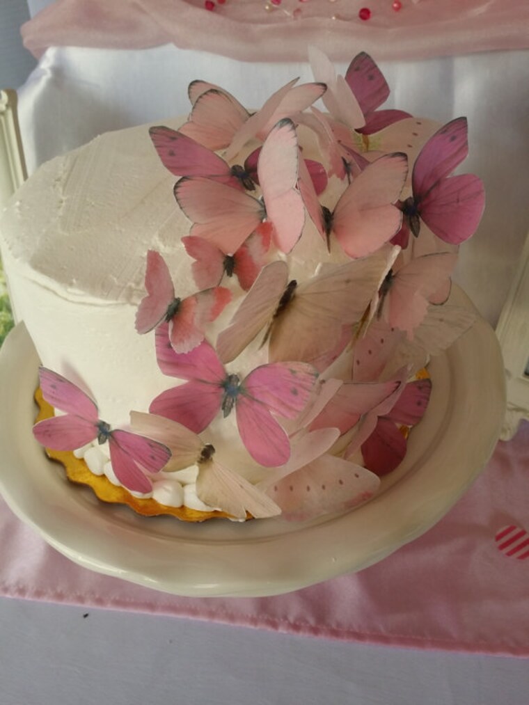 Sugarbutterflies - Etsy