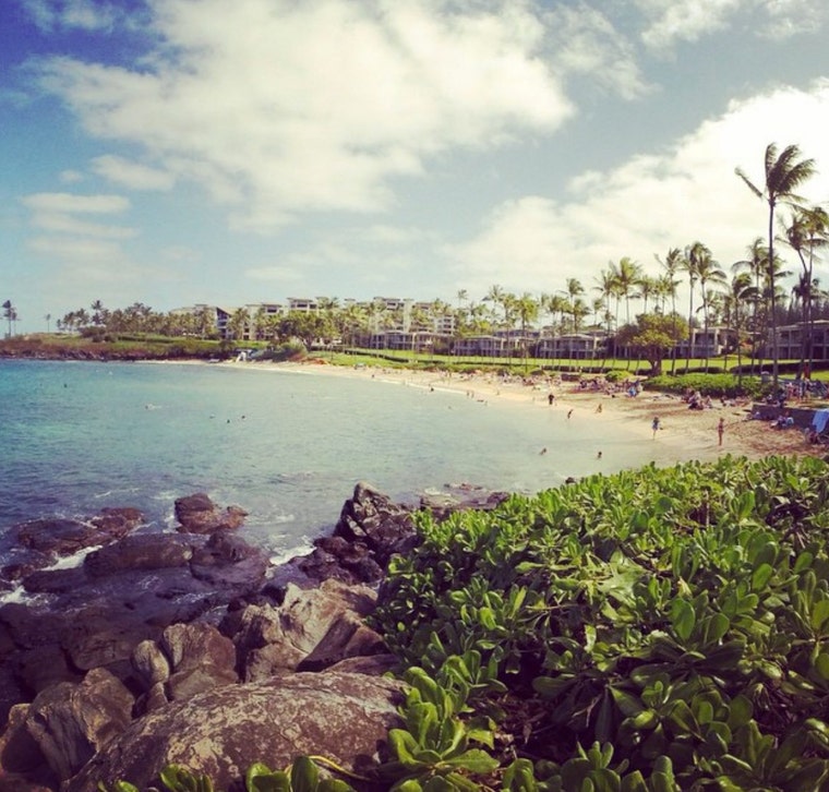 FindingAlohaCo - Etsy