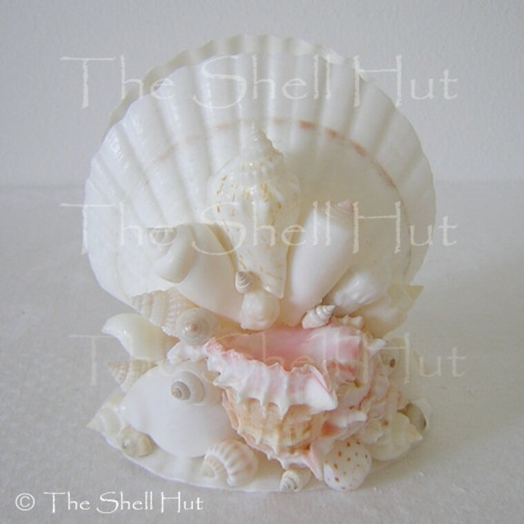 shellhut - Etsy