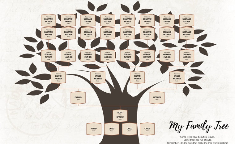 MoreThanABranch - Etsy