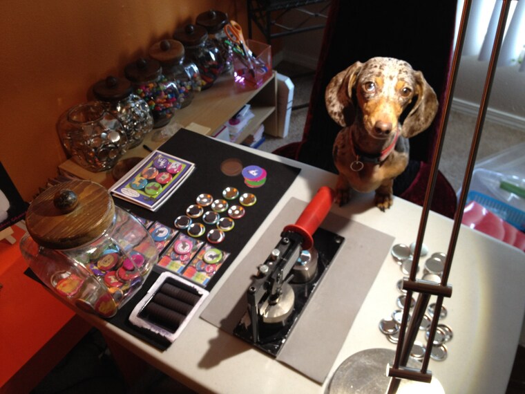 SillyDogMagnets - Etsy