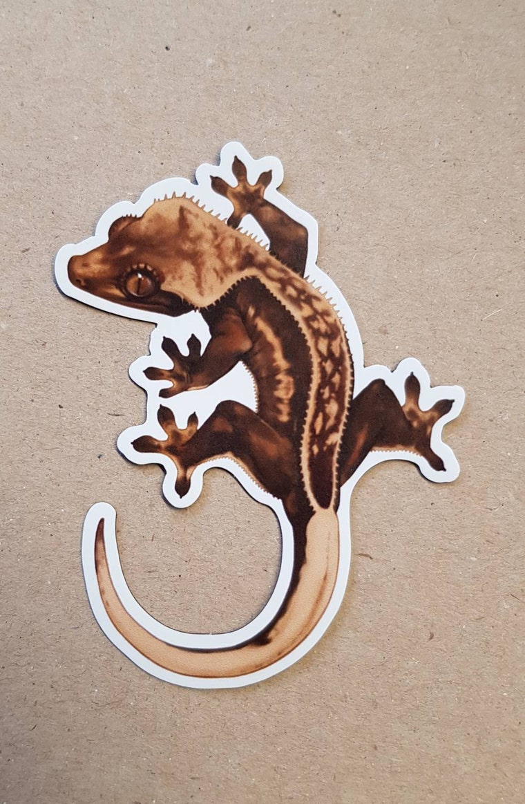 Ravica - Etsy
