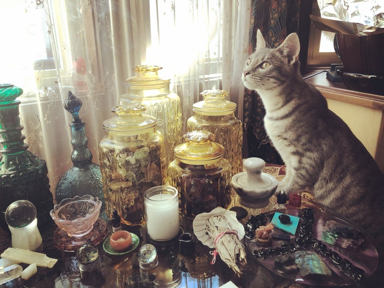 EarthDancerExotics - Etsy