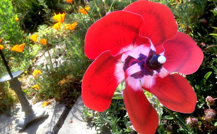 PaperArboretum - Etsy