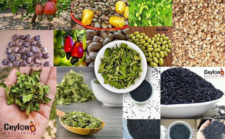 CeylonEverything - Etsy